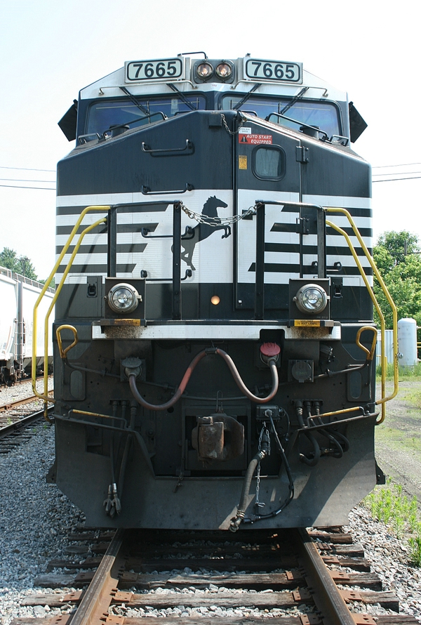 NS 7665